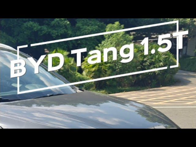 +1 BYD Tang 1.5 на Москву