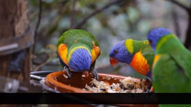 Летняя программа Switch On