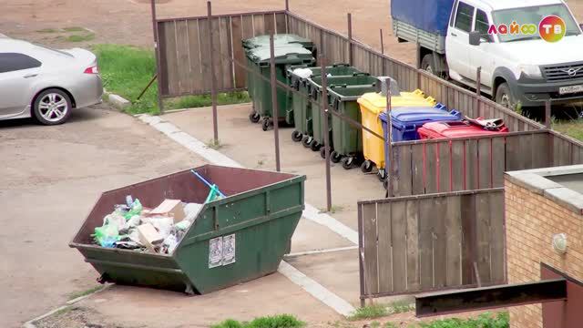 Выкинуть хлам из дома, но не донести его до помойки