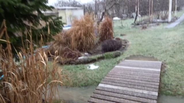 МОЙ САД. СМОЛЕНСКАЯ ЗИМА 2022 НА КУБАНИ.