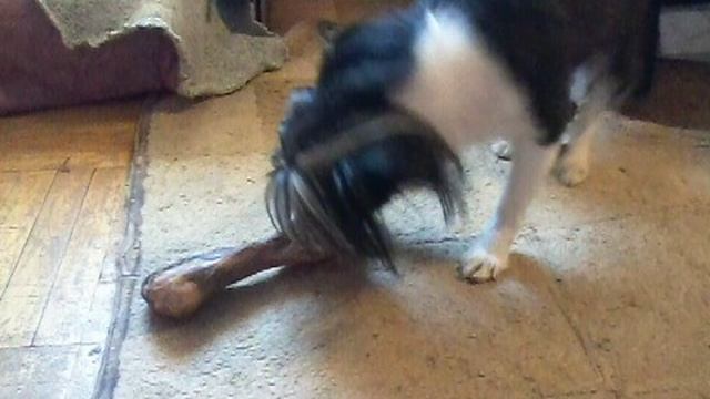 Счастье привалило