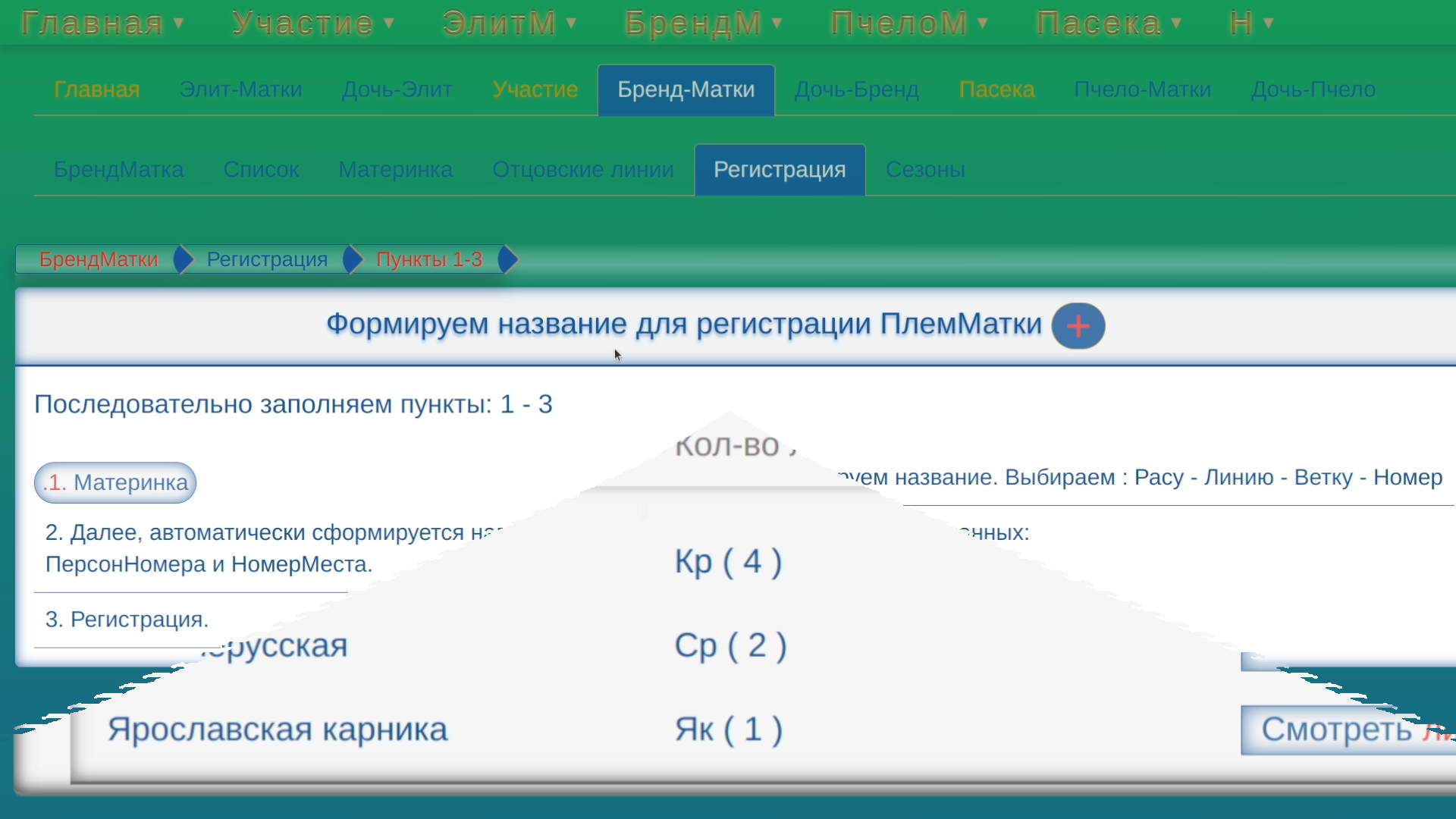Отцовские линии