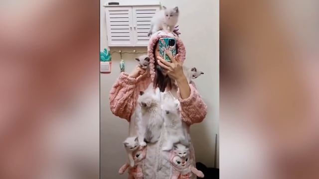 ПРИКОЛЫ С КОШКАМИ №471 Смешные Коты И Котята! Самые Милые И Прикольные!.mp4