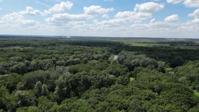 Заброшенный мост через реку Хопёр, в районе села Затон