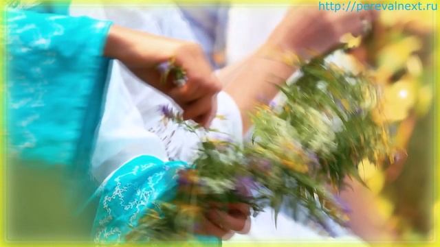 Сердце земли моей