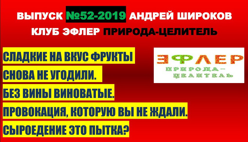 БОЙ СЛАДКИМ ФРУКТАМ. СТАЛИНСКАЯ ДИЕТОЛОГИЯ. СОВЕТСКОЕ СЫРОЕДЕНИЕ. ни капли наслаждения!