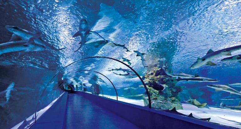 Акванариум в Анталии (Antalya Aquarium, Turkey)