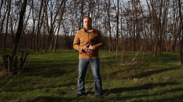 Дыхание Сянбо#цигун