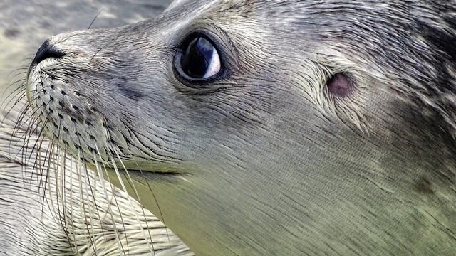 Праздники наши и не наши ... 19 февраля 2022