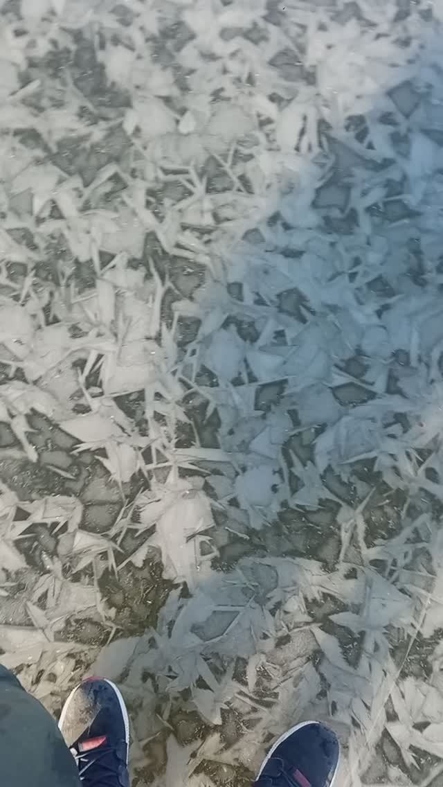 Зимняя красота #КРАСОТА #ЗИМА #ПРИРОДА