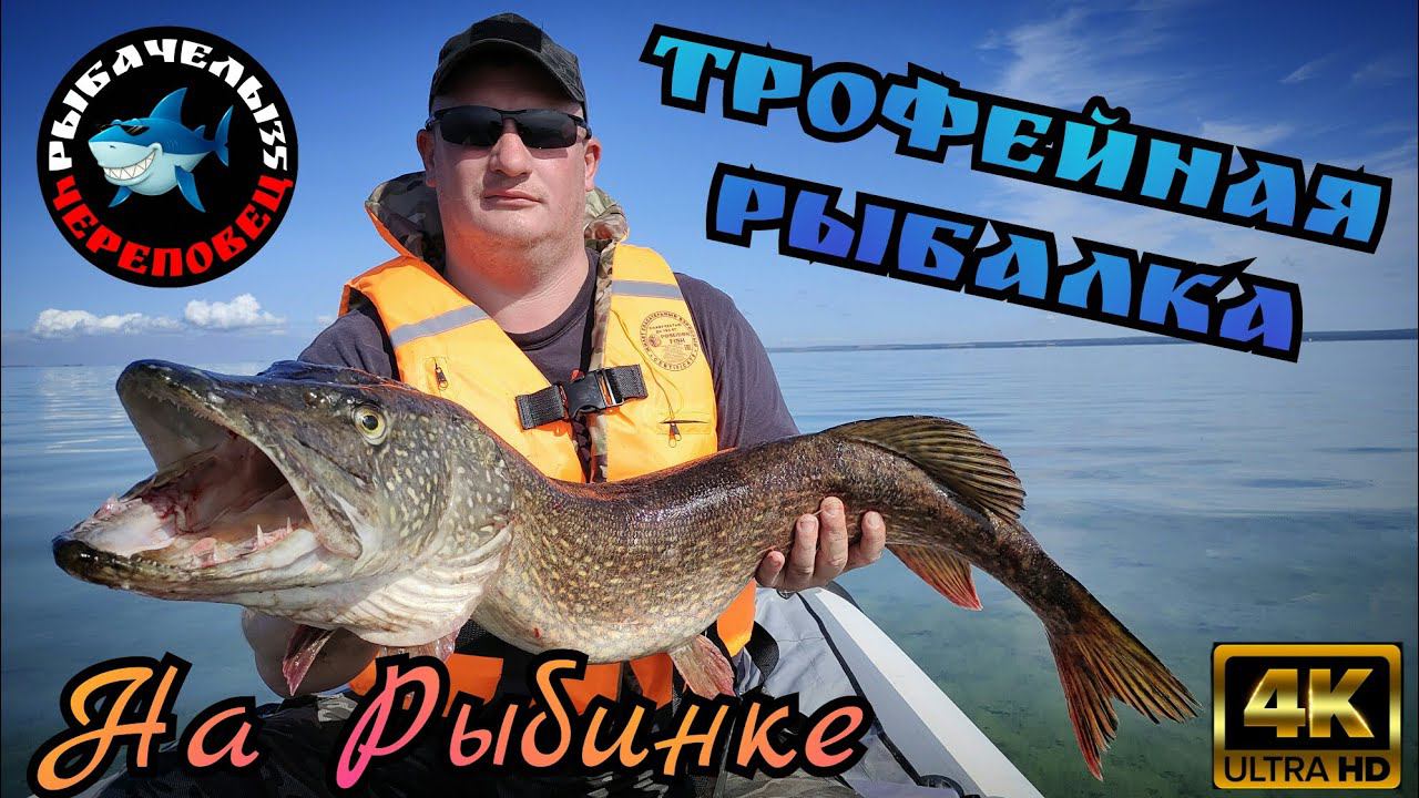 Рыбалка на Троллинг.  Трофейная щука в 4К На Рыбинском Водохранилище 2021 Щуки ломают руки!!!