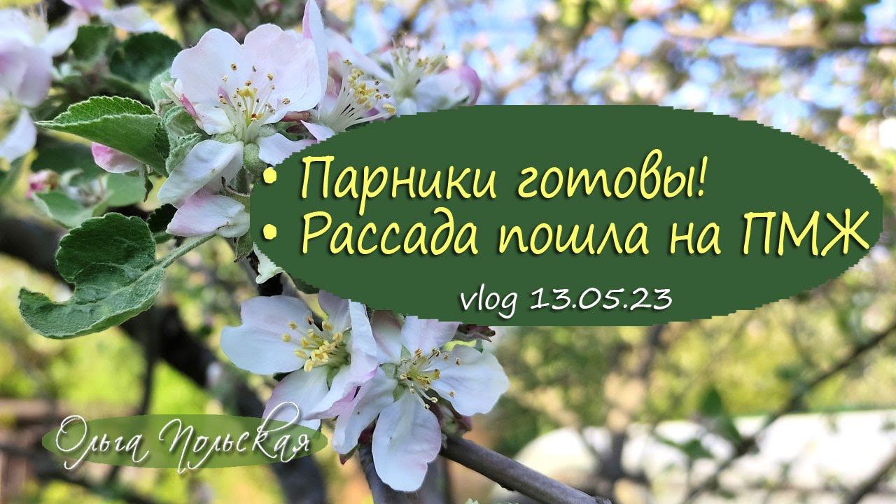 Парники готовы! Нестыковки с Микоризой | Своими руками. Vlog Дача как есть. Хроника 13.05.2023