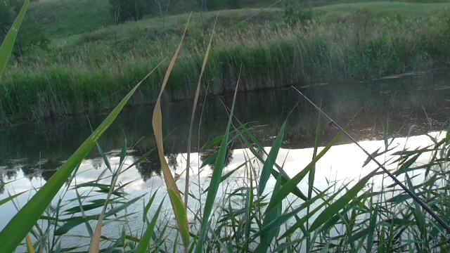 Рыбалка 4 июля