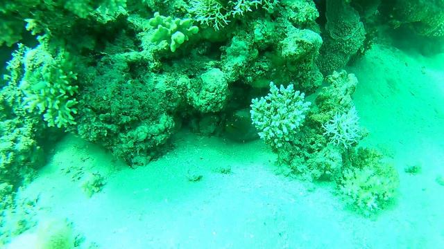 Lens:  город Таба (Taba), Египет (Egypt), 2017 г. -1