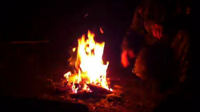 Ночь в тайге. Костер