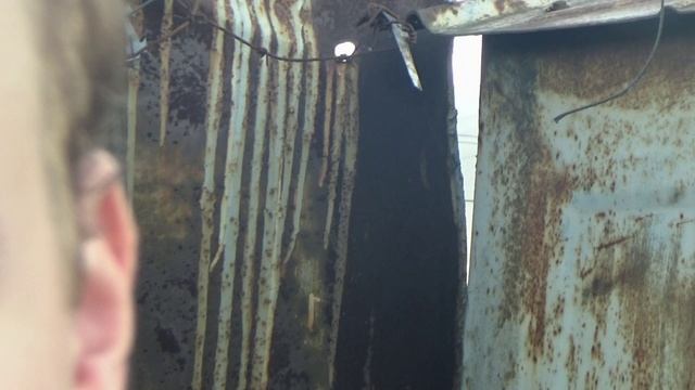 Объяснимо, но не факт! Ёлочная мистика ("Что происходит?", 2020)