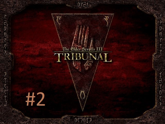 TESIII Tribunal #2 Охота на Темное Братство.mp4