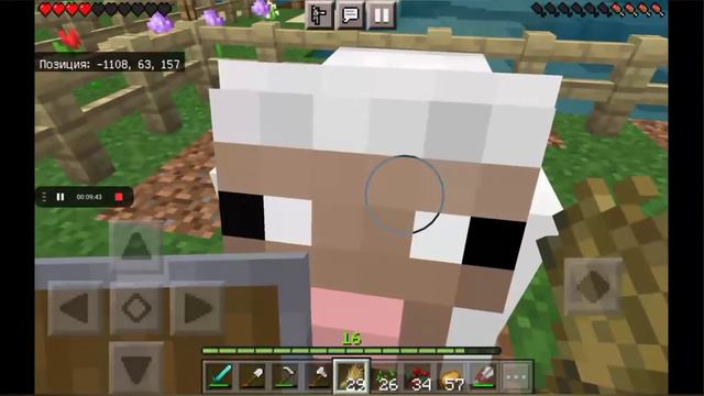 Делаем загон для куриц И НЕ ТОЛЬКО! | I season SURVIVAL №22