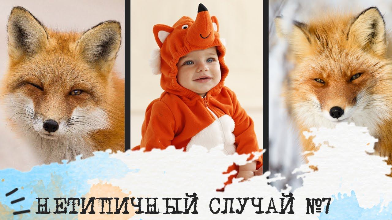 ЭИИ (ДОСТОЕВСКИЙ), ФЛЭВ (ЭПИКУР)