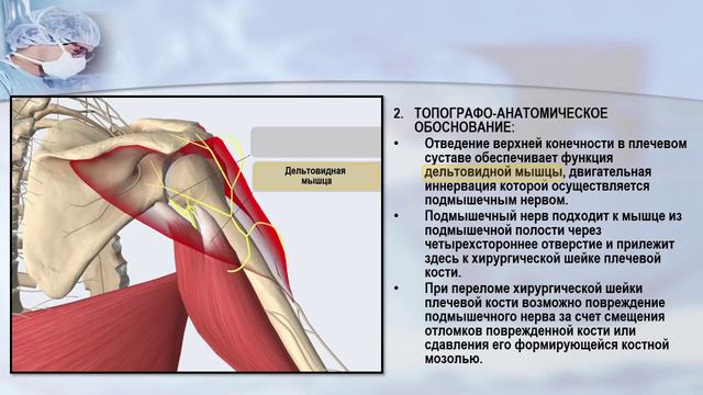 Ситуационная задача на тему: "Верхняя конечность"