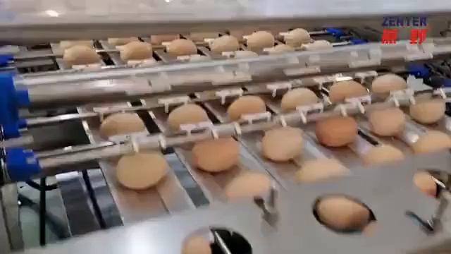 Упаковщик яиц