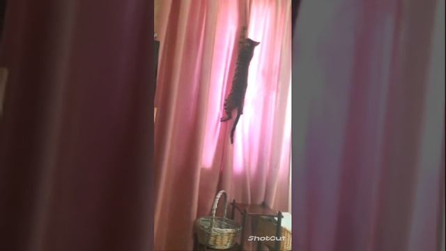 Все выше и выше и выше