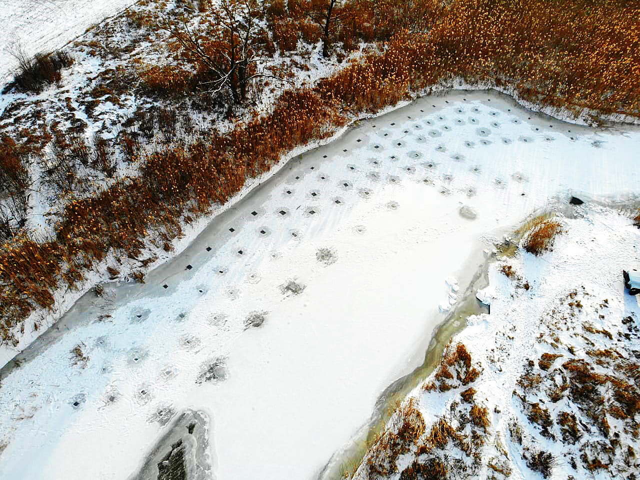 февраль 2021_ Воронежская область