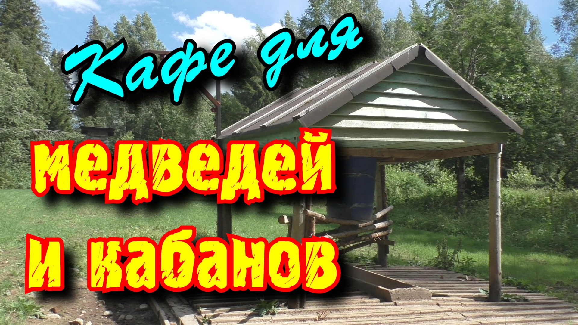 Подкормочная площадка для кабанов и медведей