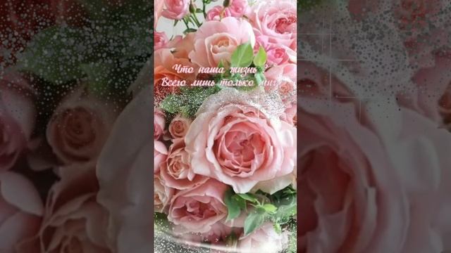 Что наша жизнь?