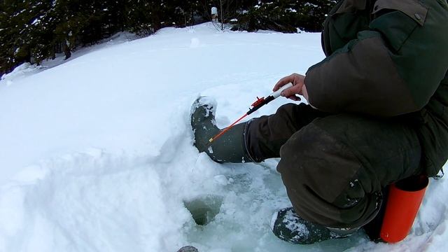 Вот оно глухозимье.