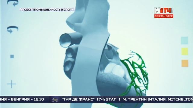 Промышленность и Спорт  - оборудование МедикалСофт и Айрон Кинг