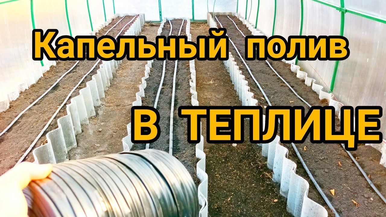 Капельный полив в теплицу своими руками