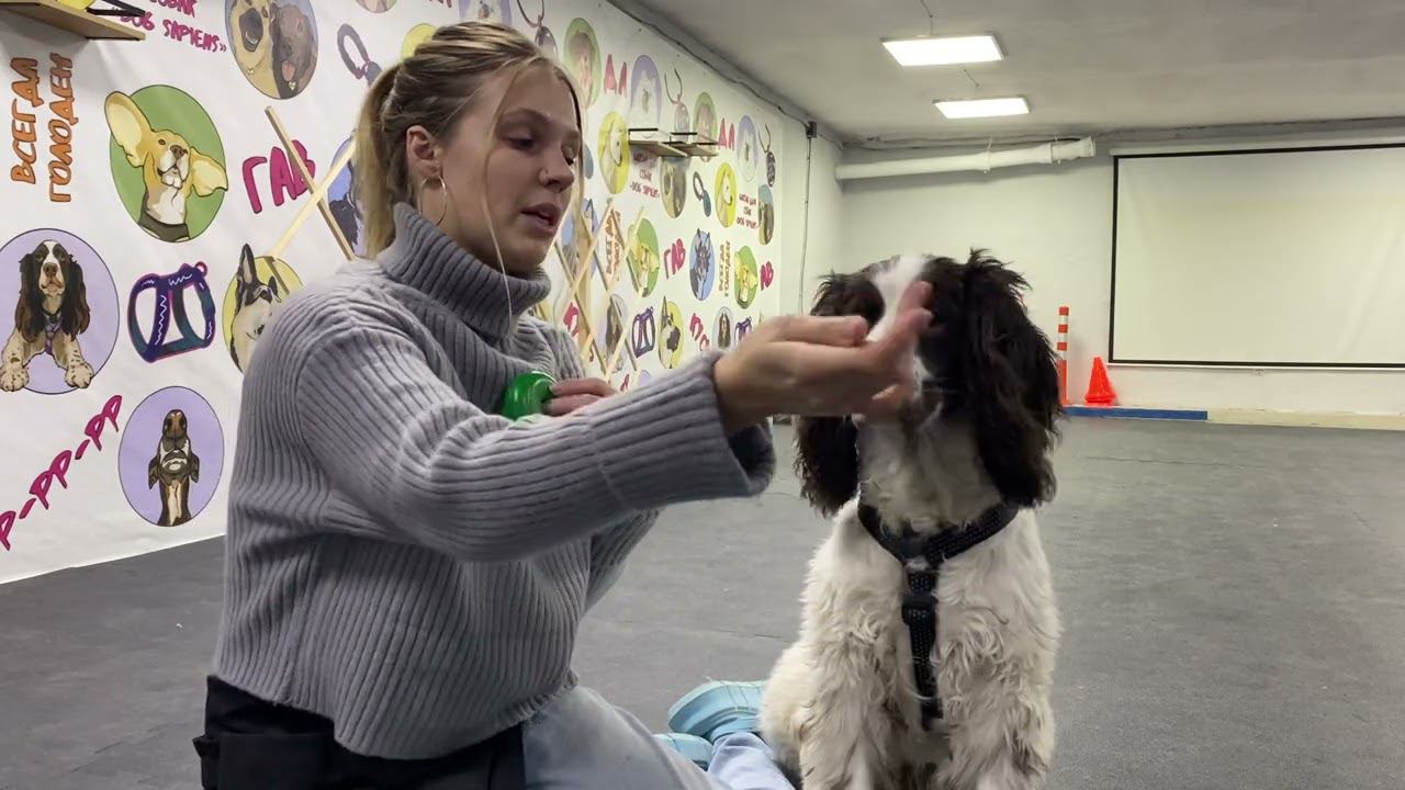 4. Трюки. Держи на носу