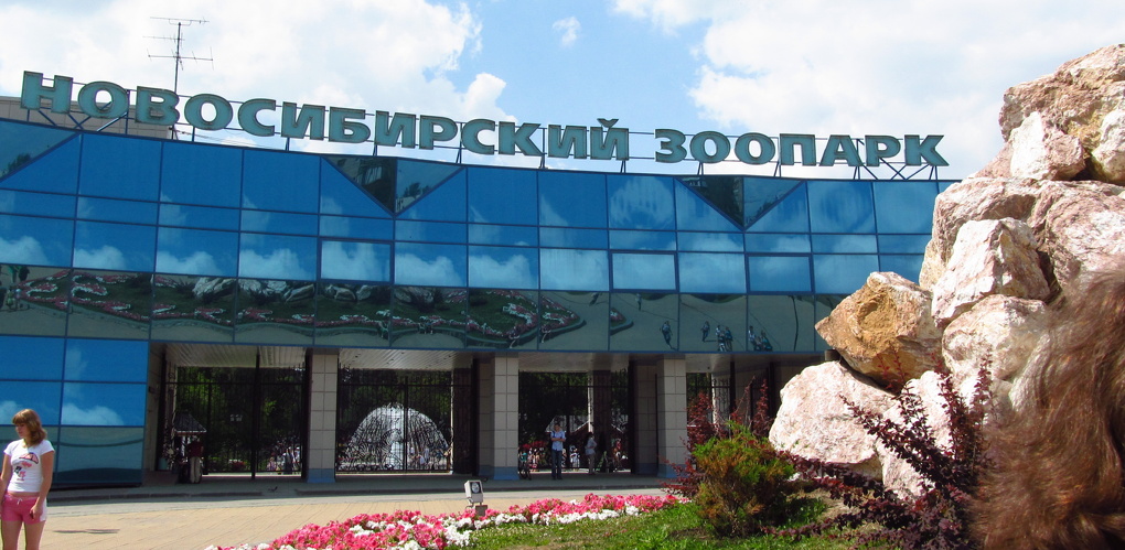 ?НОВОСИБИРСКИЙ ЗООПАРК ?ПРОГУЛКА С ДЕТЬМИ ?2020?