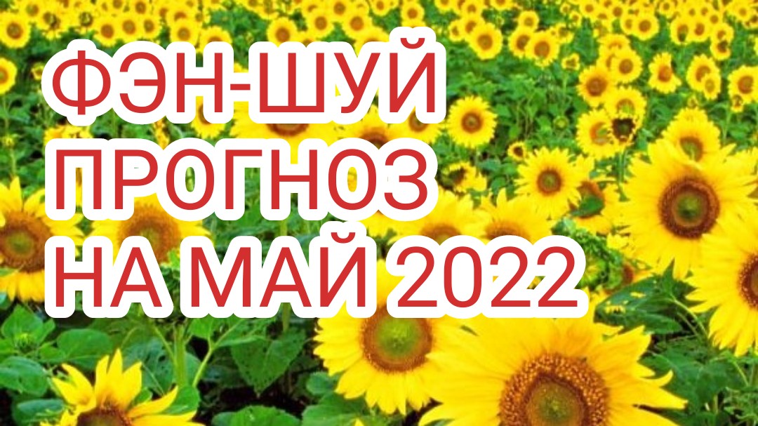 14. Фэн-шуй прогноз на май 2022 || Месяц Деревянной Змеи#3