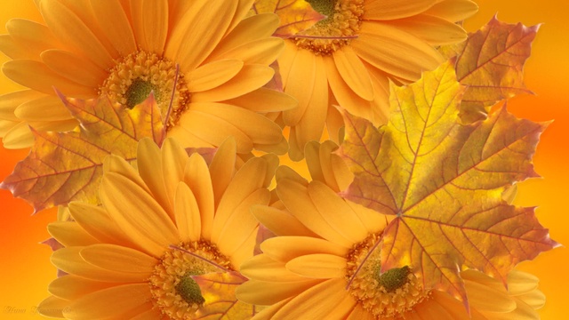 С Днём Учителя!.mp4