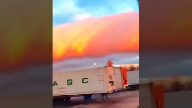 VID_20221222_215501_277.mp4