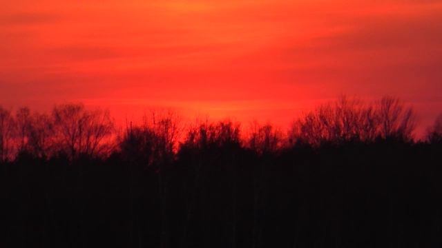 Вечерняя зорька.