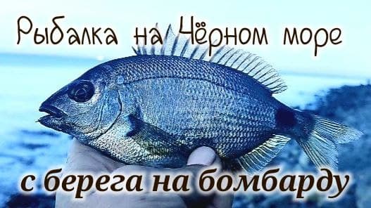 Черном море рыбалка с берега, fishing on the Black Sea from the shore
