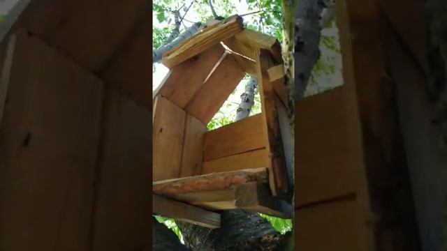 Красивый музыкальный клип. Startup 3