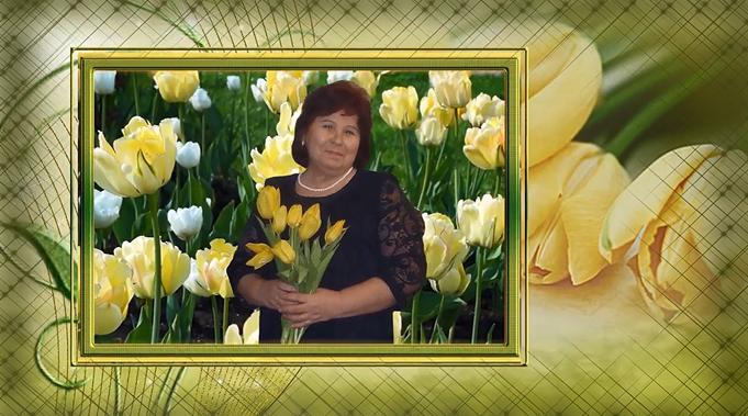 Желтые тюльпаны  mp4