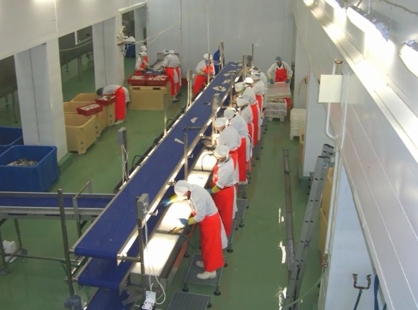 Рыбопереработка