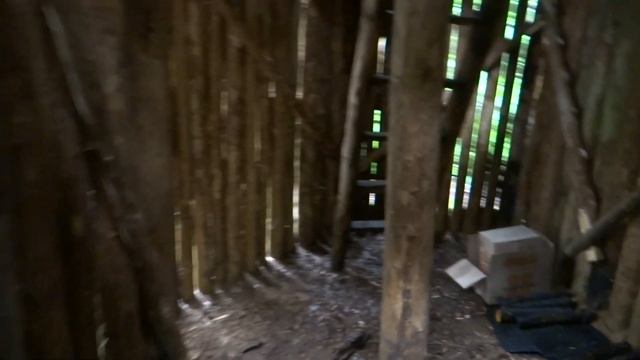 ПРИ 'Тиамад 2736' - сц1