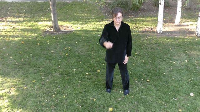 13 Таолу стиля Орлан и барс удары руками дальней дистанции вид сверху