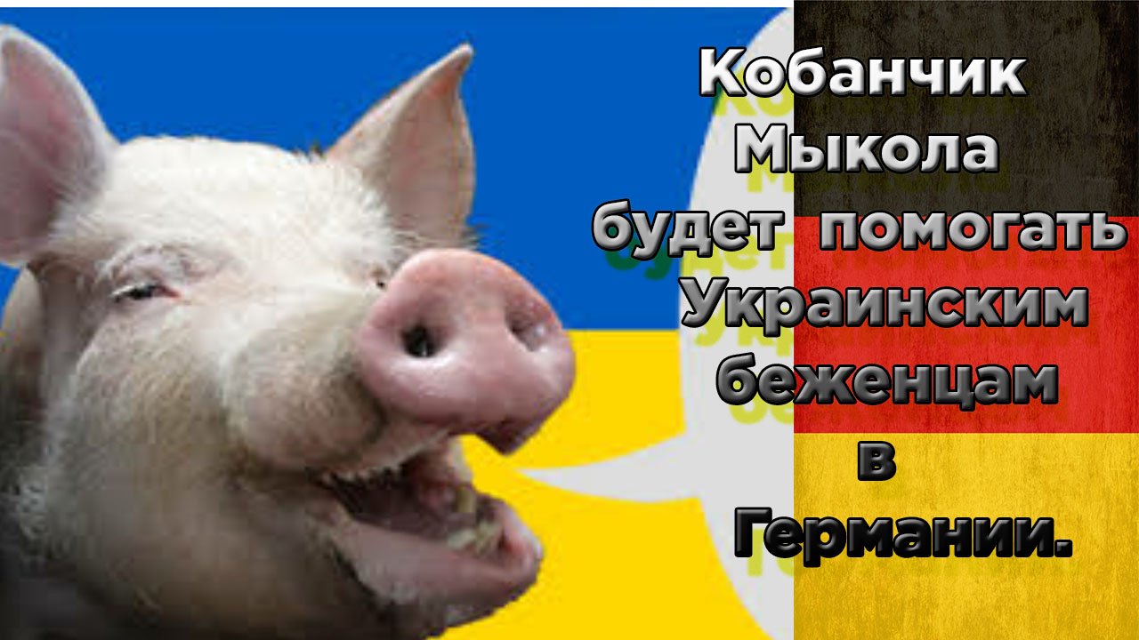 Кабмин Германии предложил беженцам с Украины помощь кабанчика Мыколы