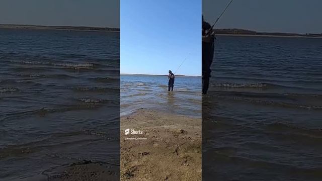 ❗Рыбалка на Волге❗ #shortsvideo #shortvideo #shorts #short #fishing #рыбалка #природа