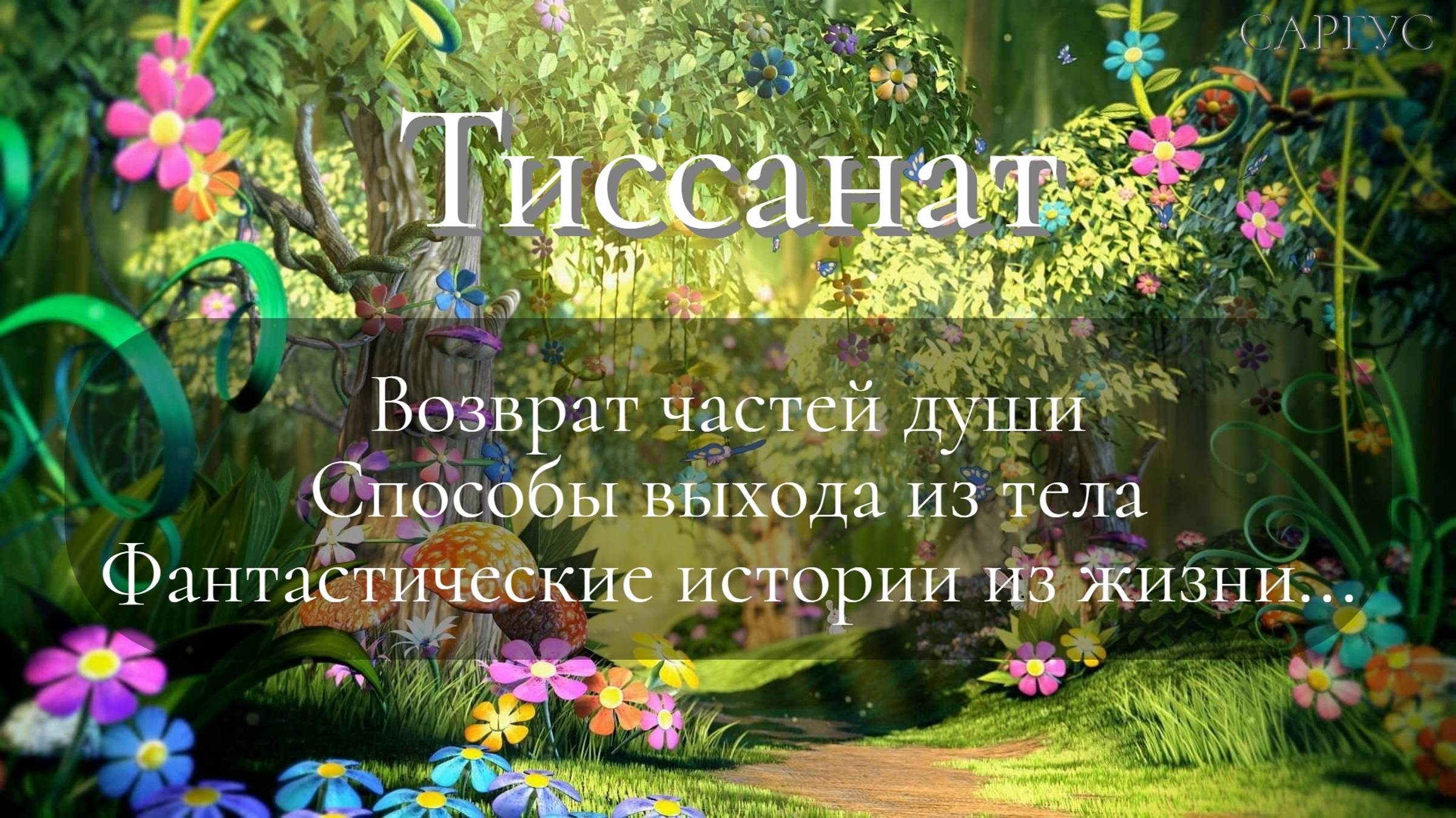 #149 Тиссанат. Возврат частей души. Способы выхода из тела. Фантастические истории из жизни...