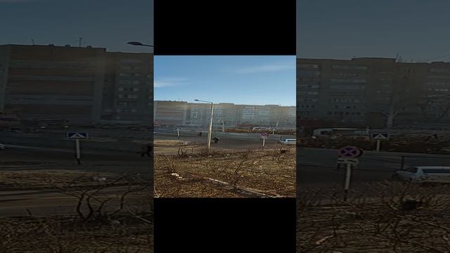 Ейск 2023. Вывоз мусора почти закончен. Дом после падения самолёта. Канал Тутси влог.