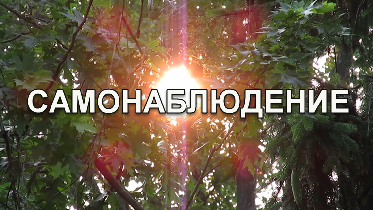 Очень важно ежедневно практиковать самонаблюдение