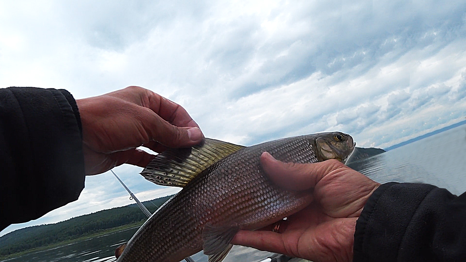 ХАРИУС ННАДА?!?! РЫБАЛКА НА АНГАРЕ